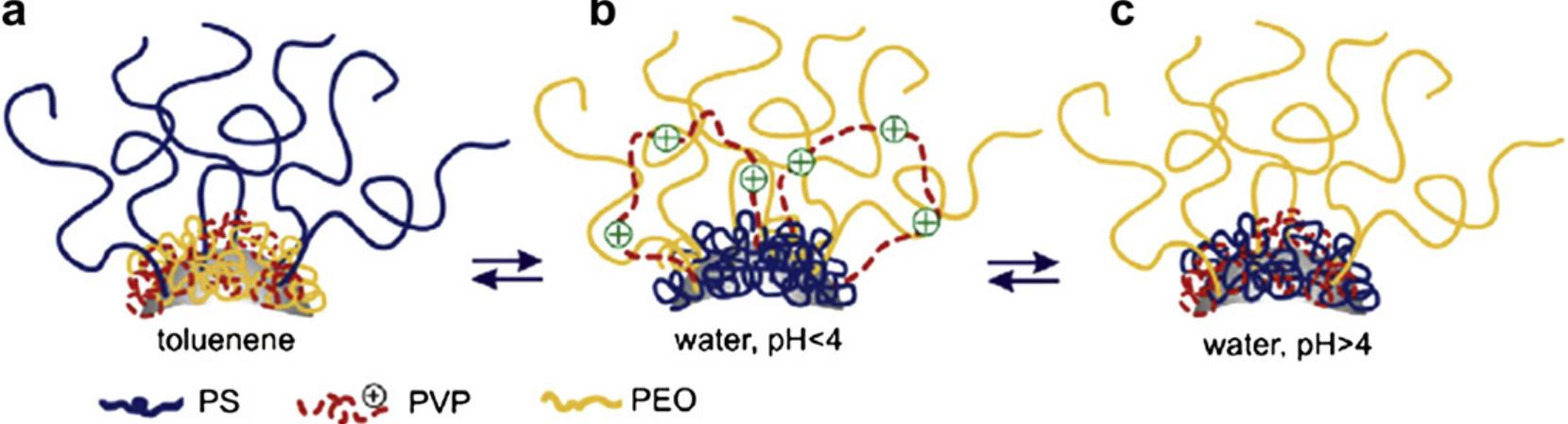 Schematic representation of different morphologies of