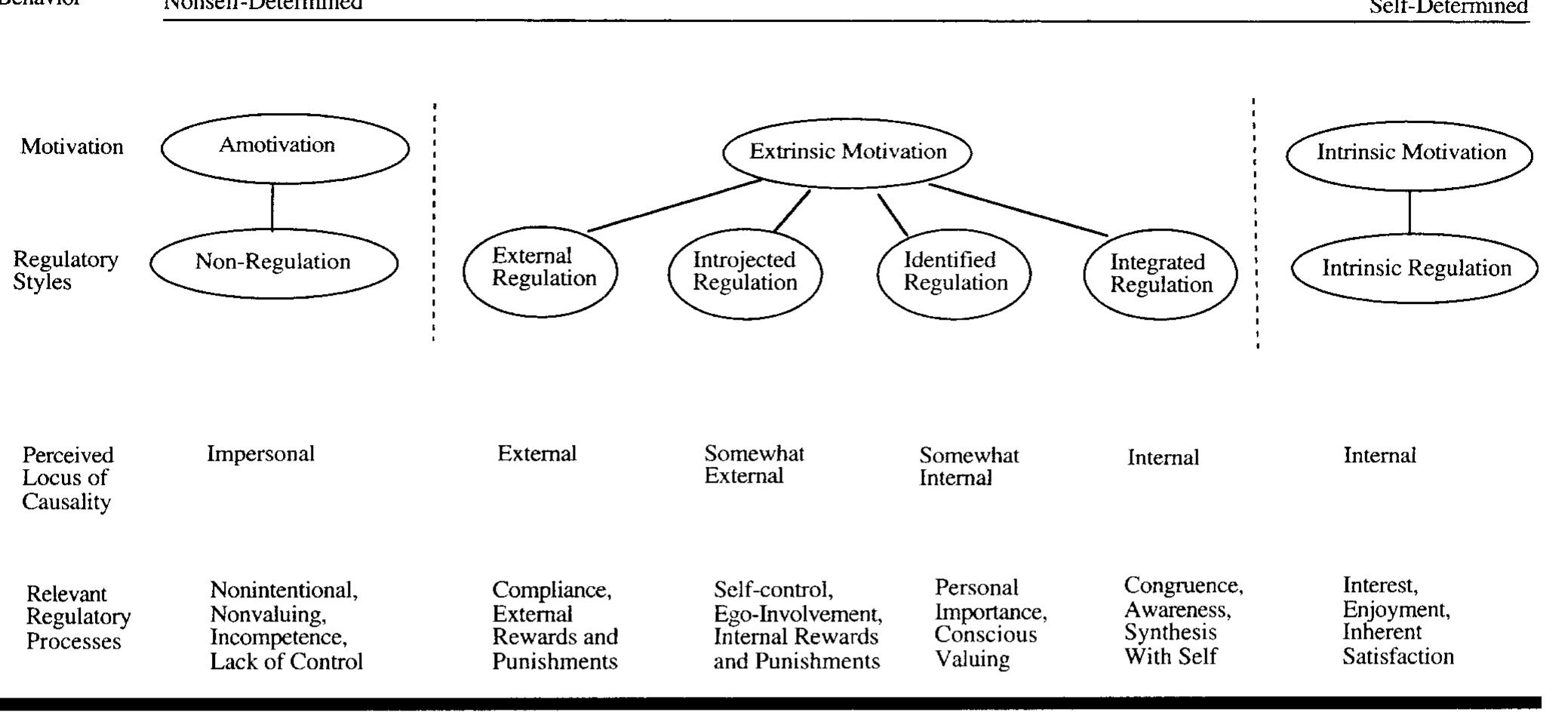 (PDF) Self-determination theory and the facilitation of intrinsic ...