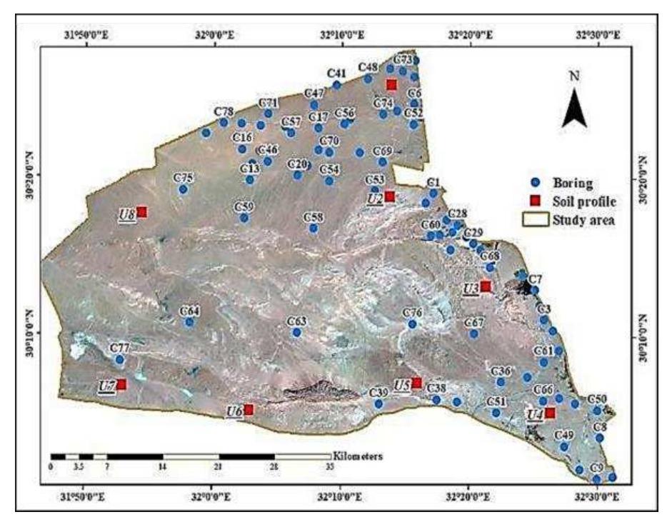 (5): location map of the profile pits and soil borings.