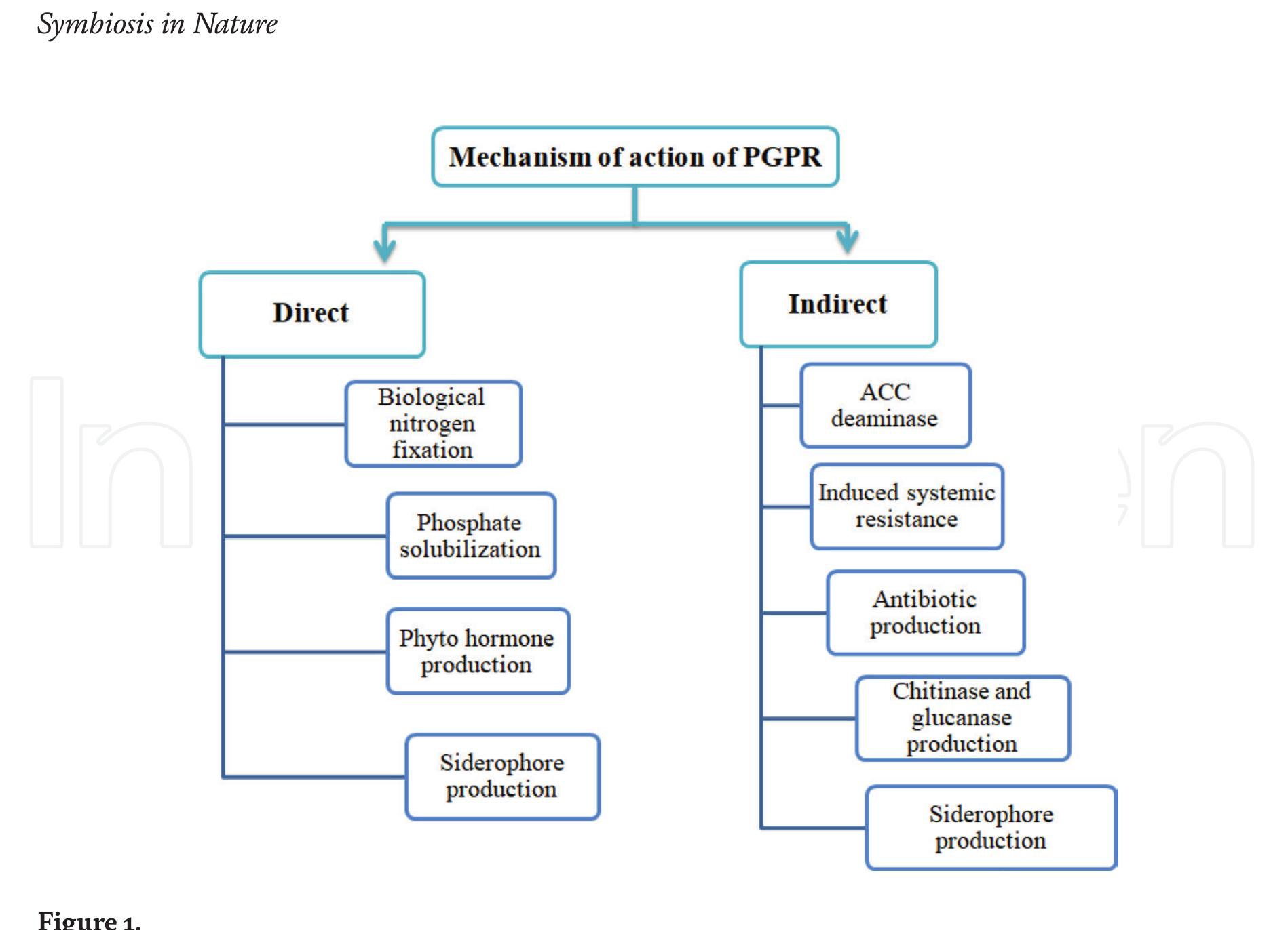 © flow chart showing mechanism of action of pgprs. microbes