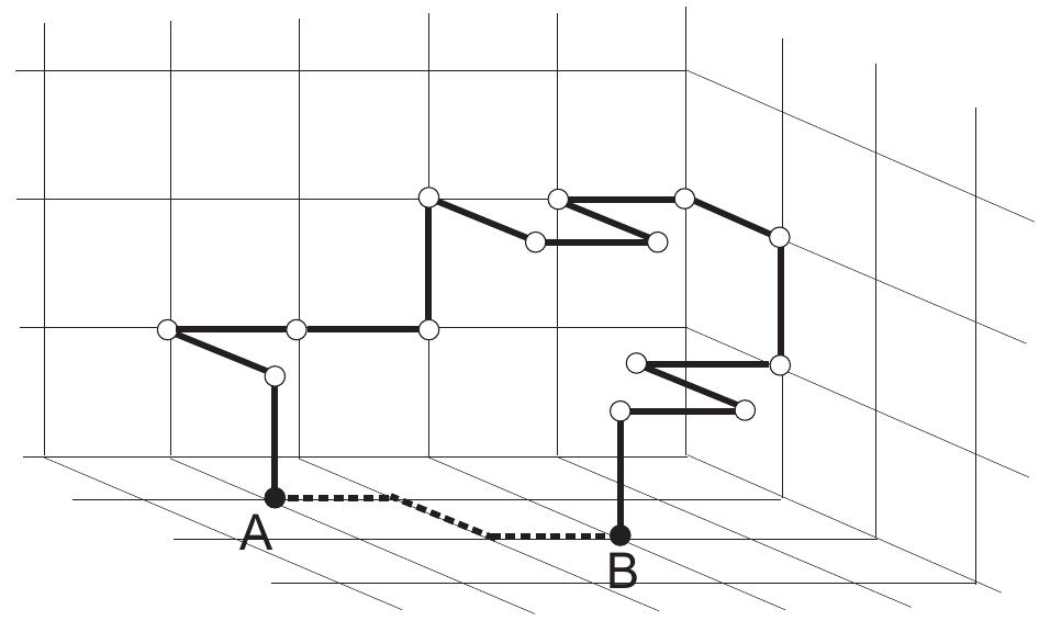 Schematic illustration of the m-segment chain embedded in