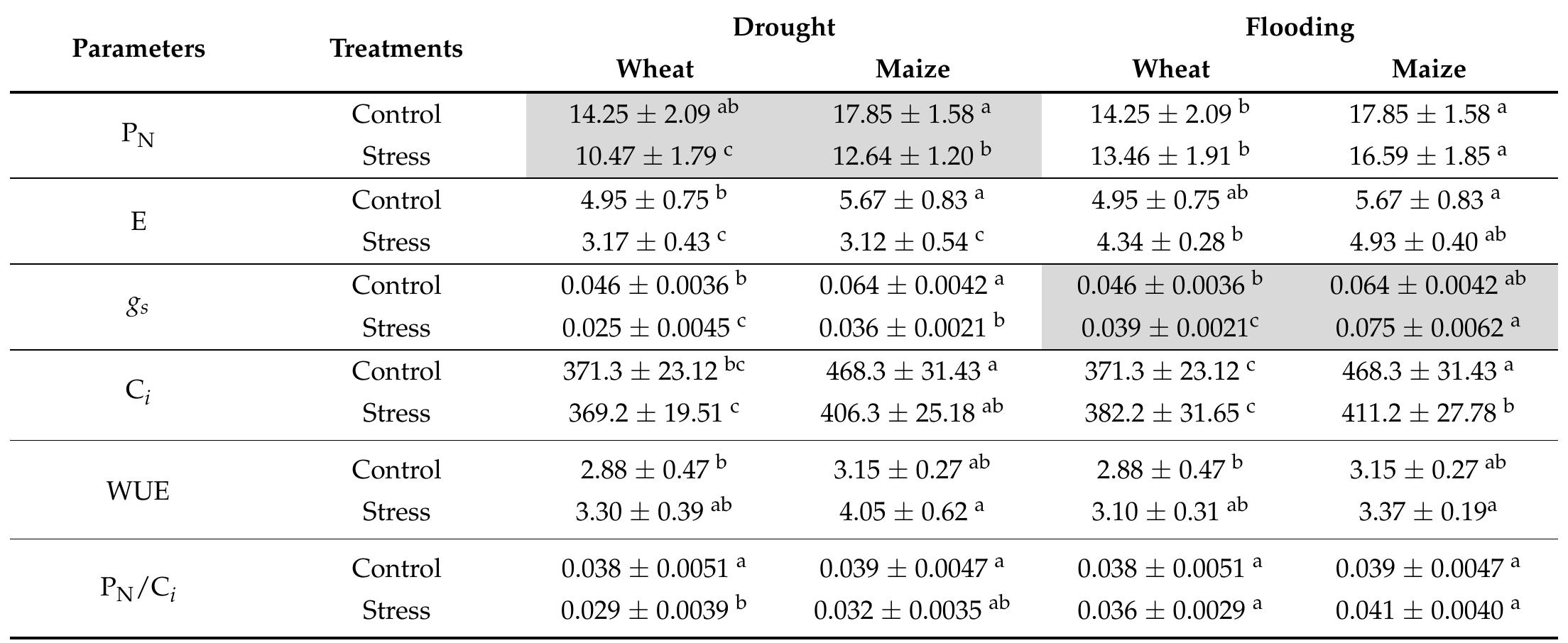 Effects of 10-day drought and flooding of roots on leaf gas