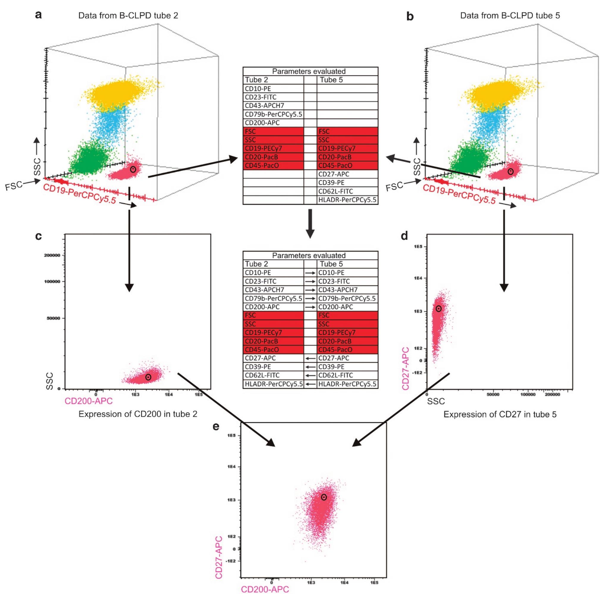 Schematic Representation Of The Data Calculation Process