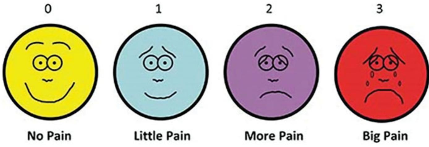 Modified wong—baker faces pain rating scale.