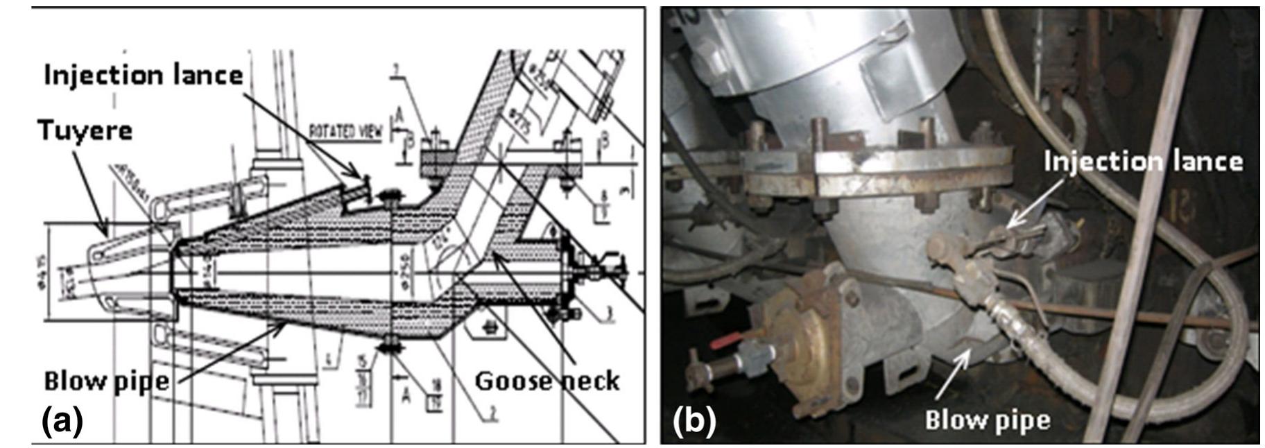 (a) schematic diagram showing the insertion of lance tube