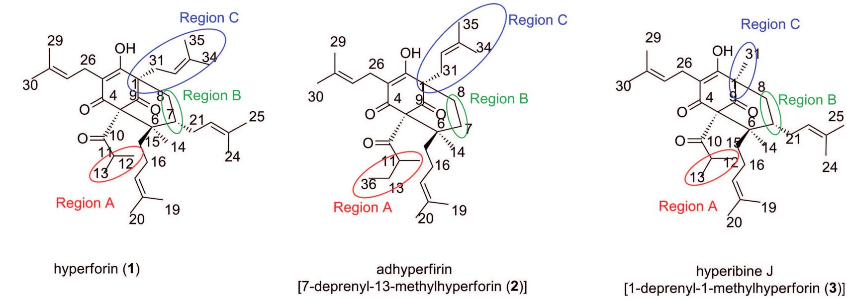 Structures of hyperforin (1), adhyperfirin