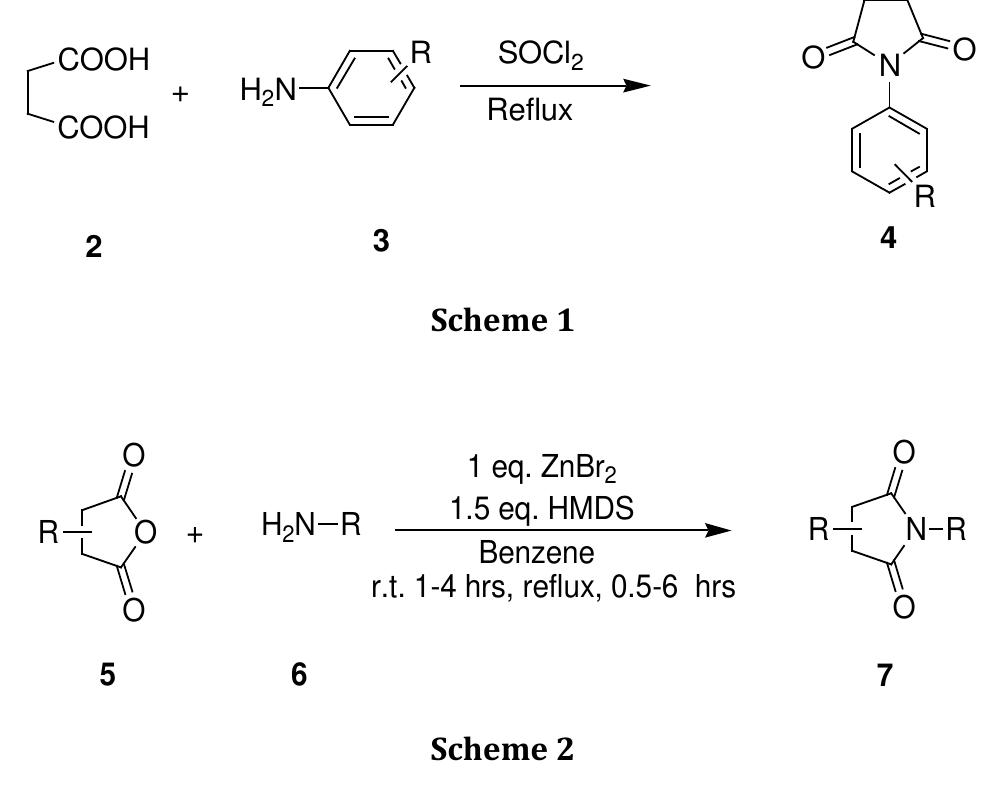 (PDF) SUCCINIMIDES: SYNTHESIS, REACTION AND BIOLOGICAL ACTIVITY Review ...