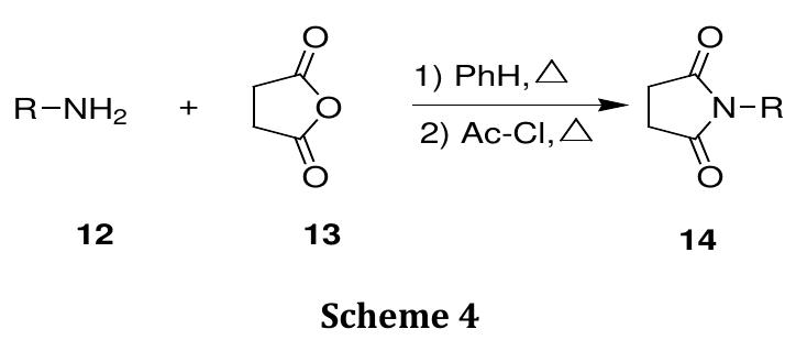 (PDF) SUCCINIMIDES: SYNTHESIS, REACTION AND BIOLOGICAL ACTIVITY Review ...