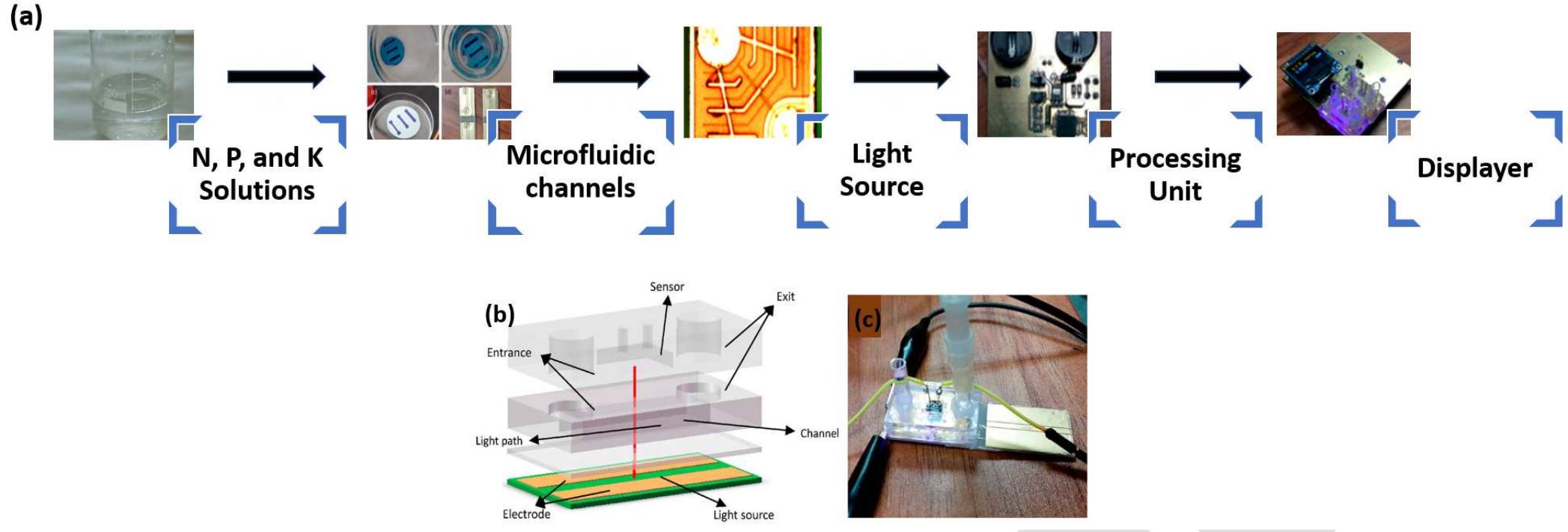 (a) schematic illustration of colorimeter system components.