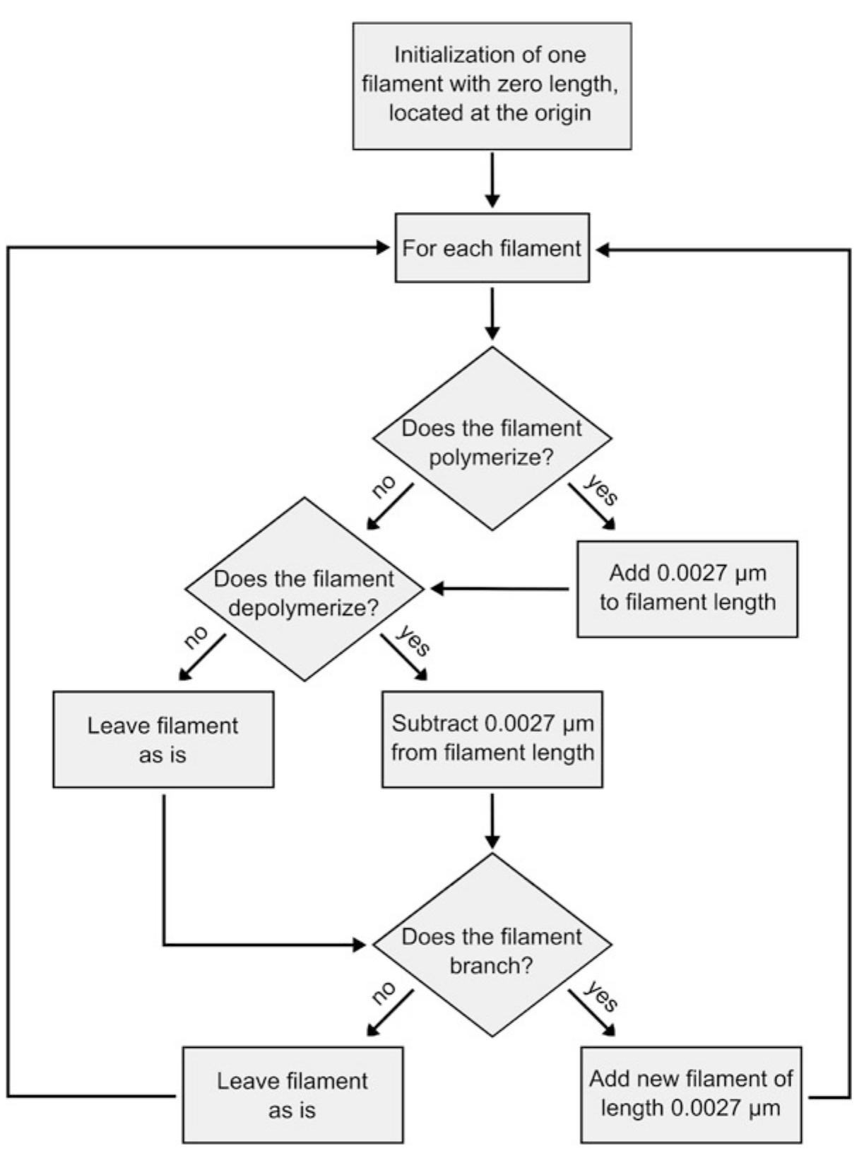 Flow chart of the algorithm implemented for the agent-based