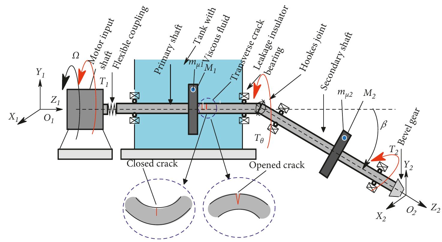 Physical description of a cardan shaft system model