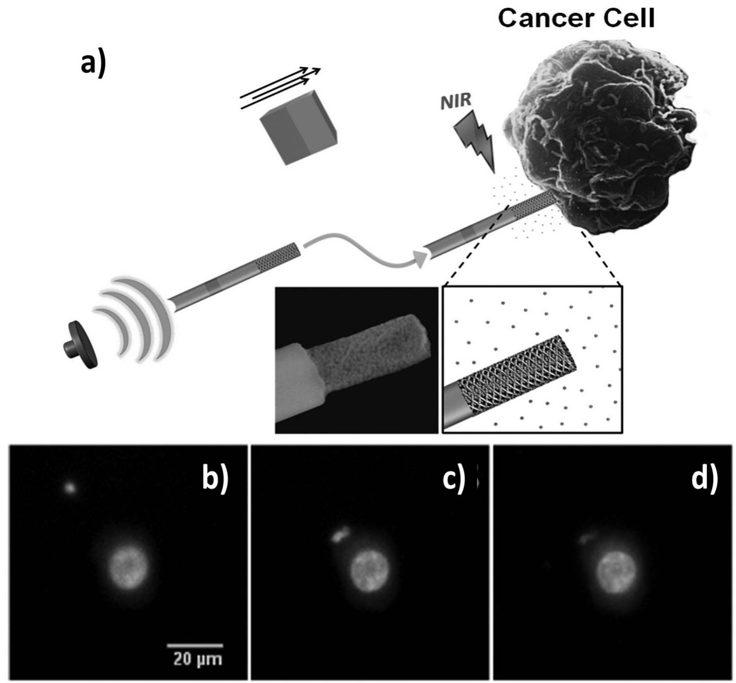 Example of nanomotors with ultrasound propulsion. schematic