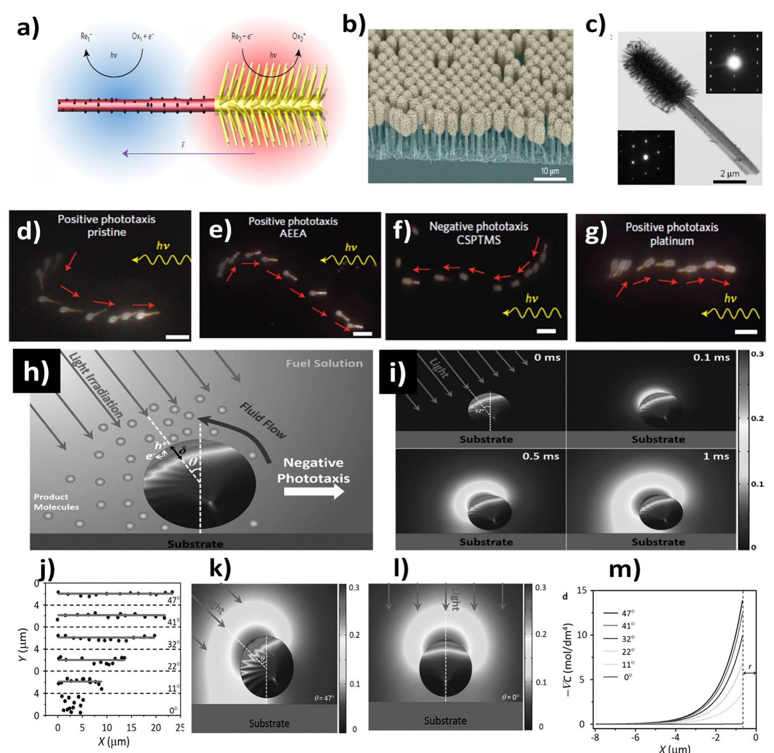 Schematic design and structure characterization of a janus