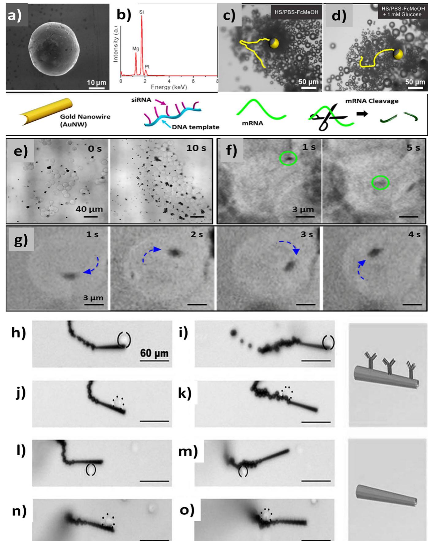 Sem image (a), edx spectrum (b), of fabricated mg/pt janus