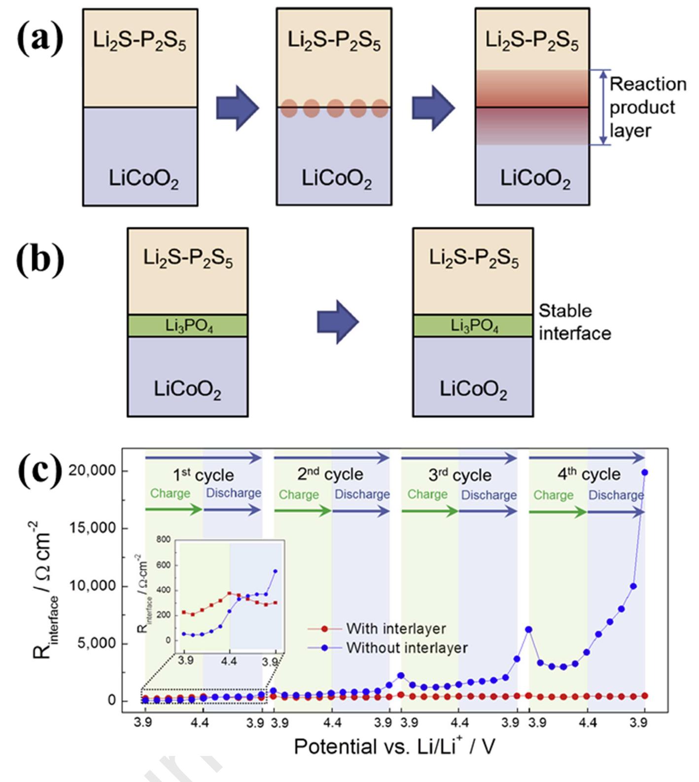 Schematic diagrams of the thin film electrode (a) without