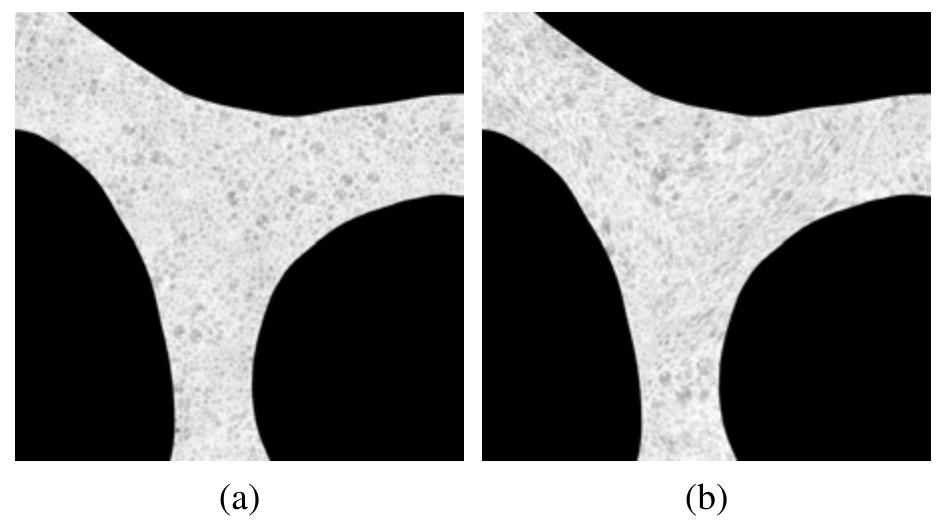 2d split using a bubble texture exemplar, at frame 1 (a) and
