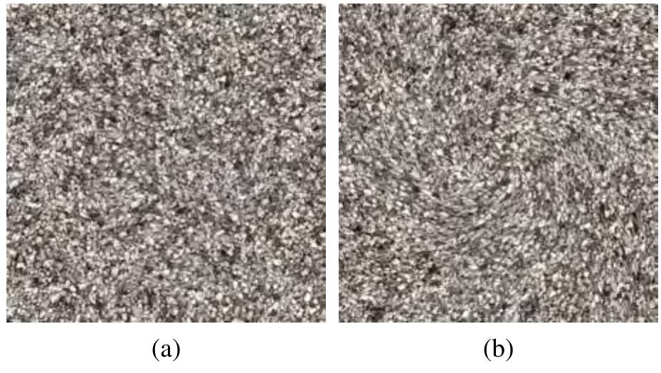 Figure 9 - from Distribution Update of Deformable Patches