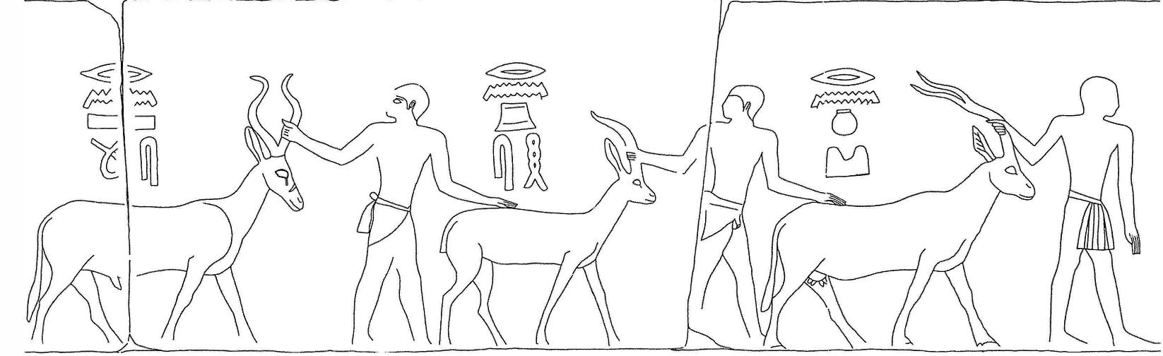 Ancient egyptian representation of caught and registered