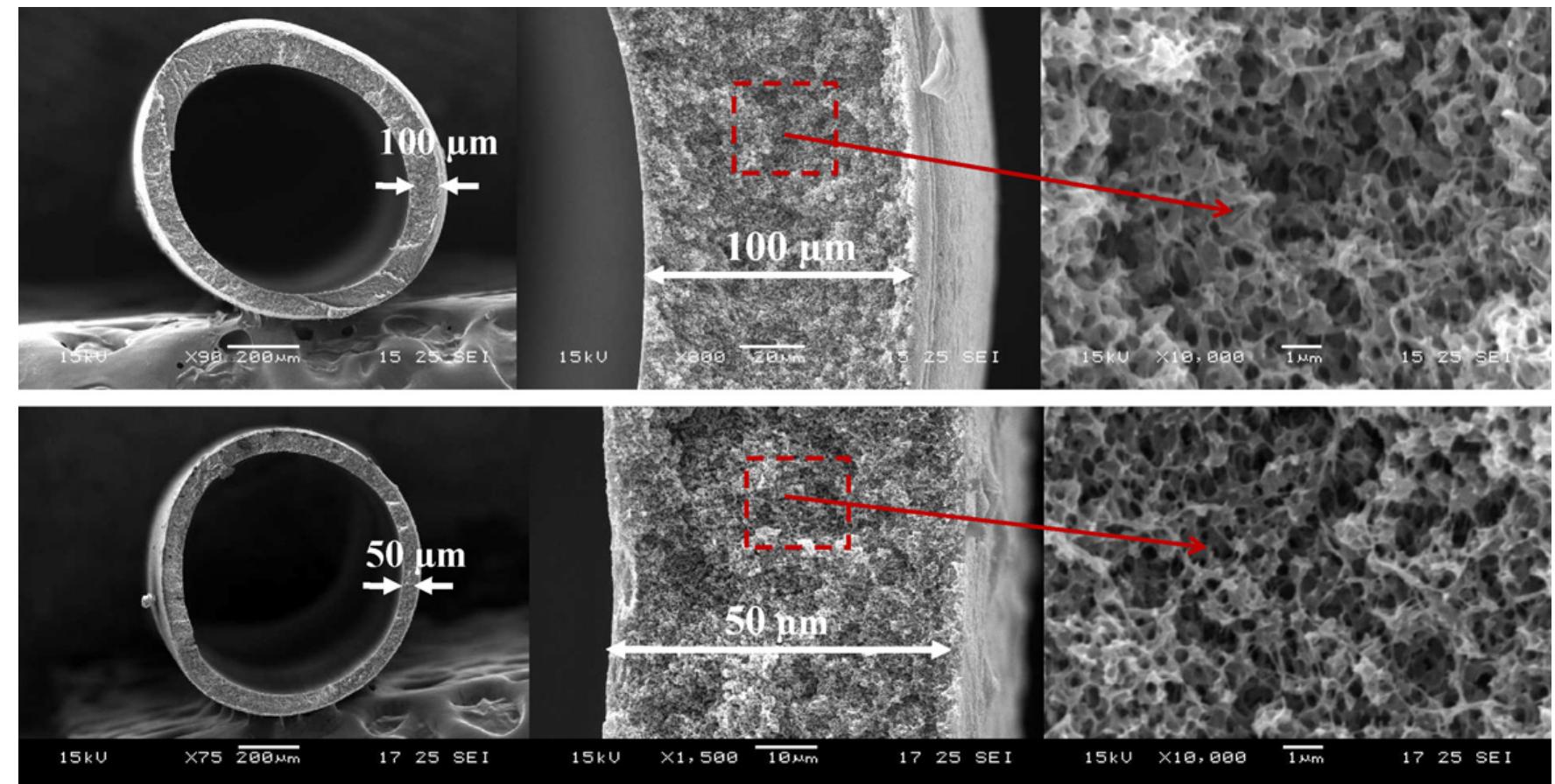 Sem photos showing the cross-section morphology of pvdf