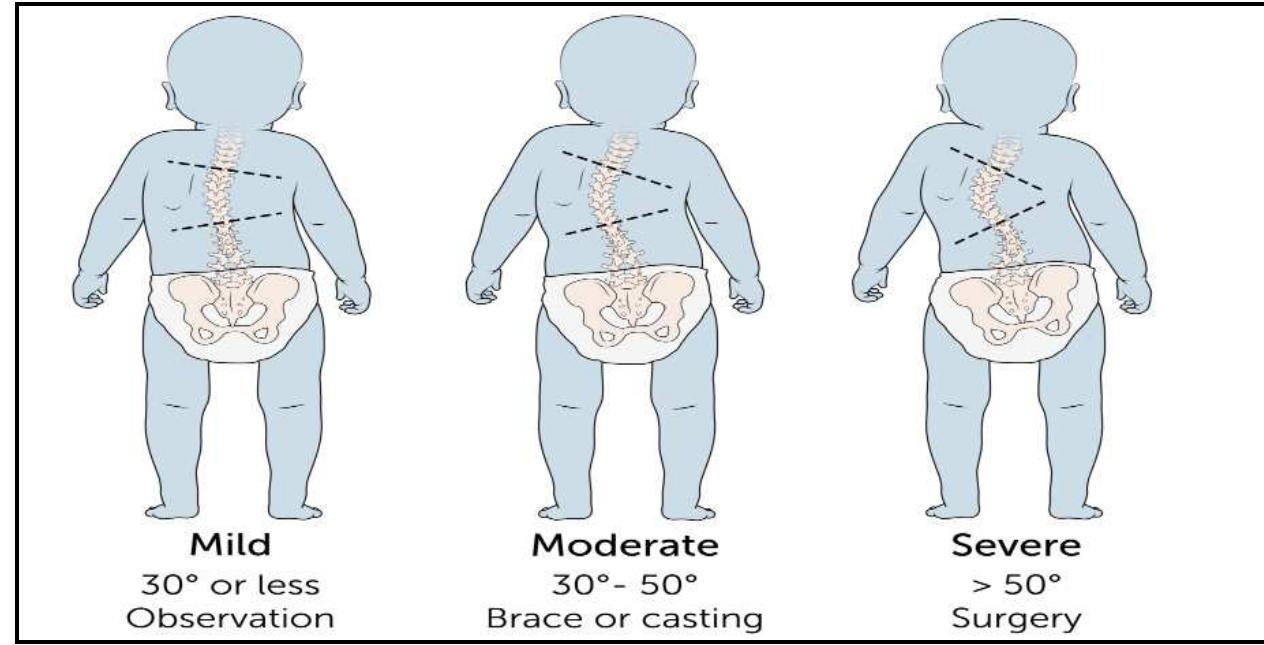 Figure 11 - Understanding Teratogenicity In Pregnancy: A