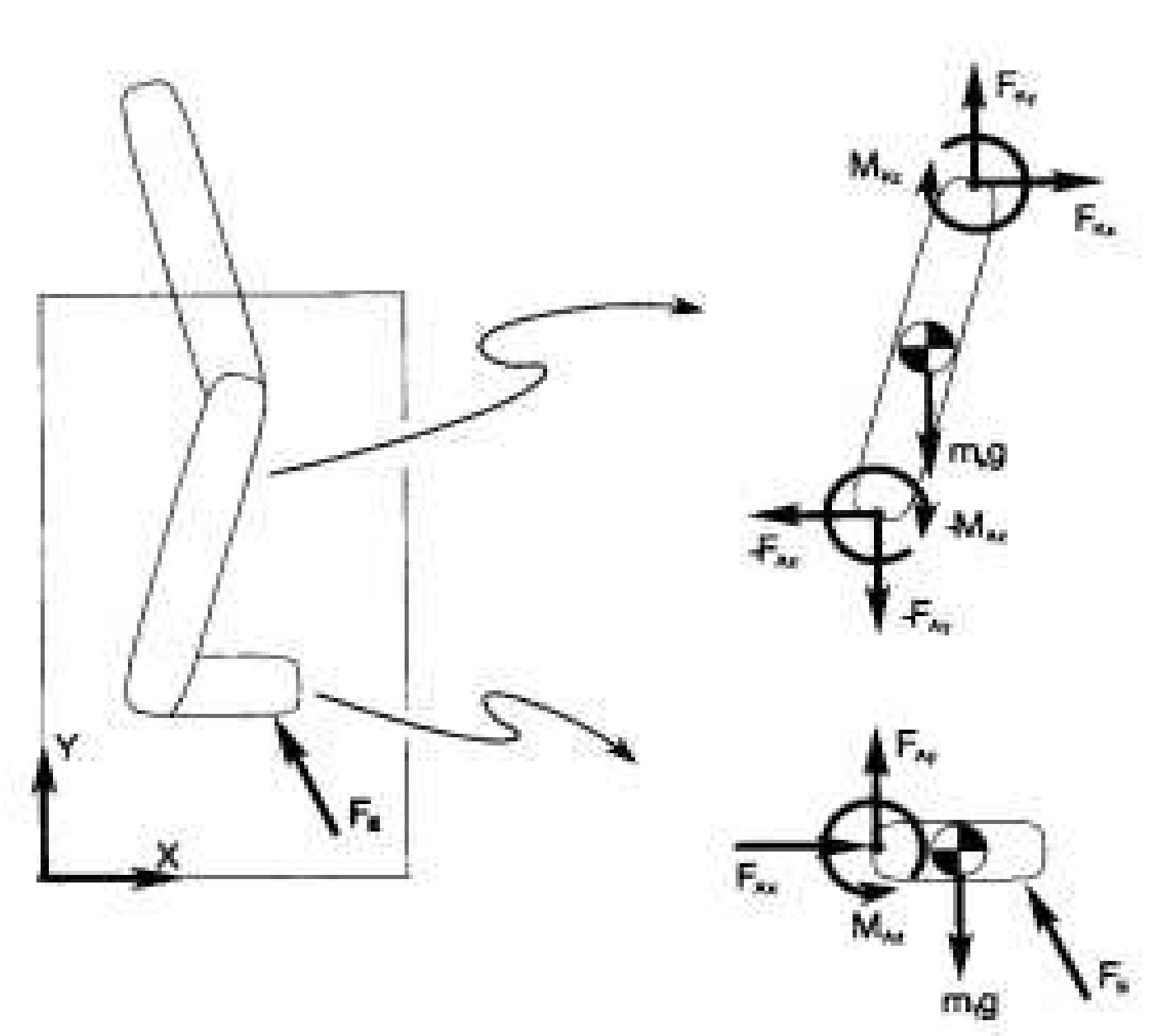 1 two-dimensional finite element drawing of the foot and