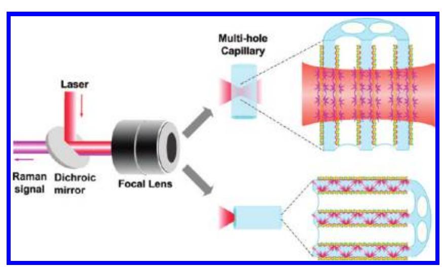 Schematic of a flow-through optofluidic raman system based