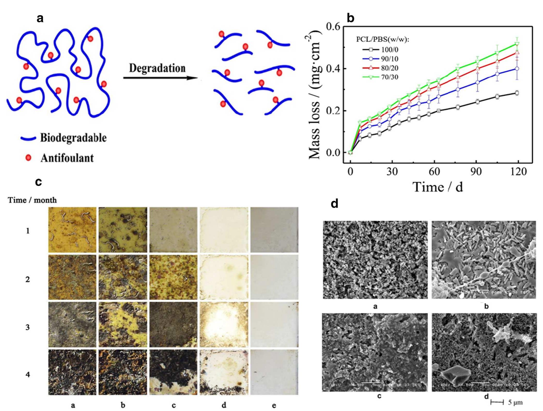 Butylmethacrylate) pmma-pbma paint; (b) tbt paint; (c) paint