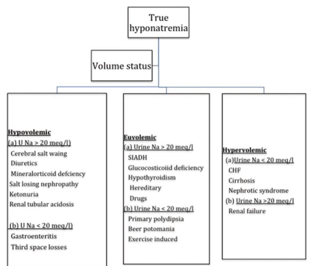 Approach to hyponatremia siadh: syndrome of inappropriate