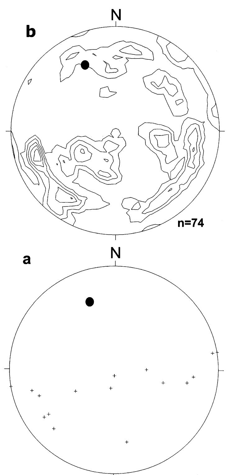 (a) stereographic plot (lower hemisphere, equal area