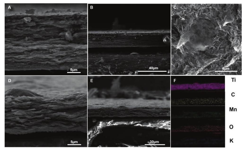 (a-c) sem images of the cross-section and surface of the