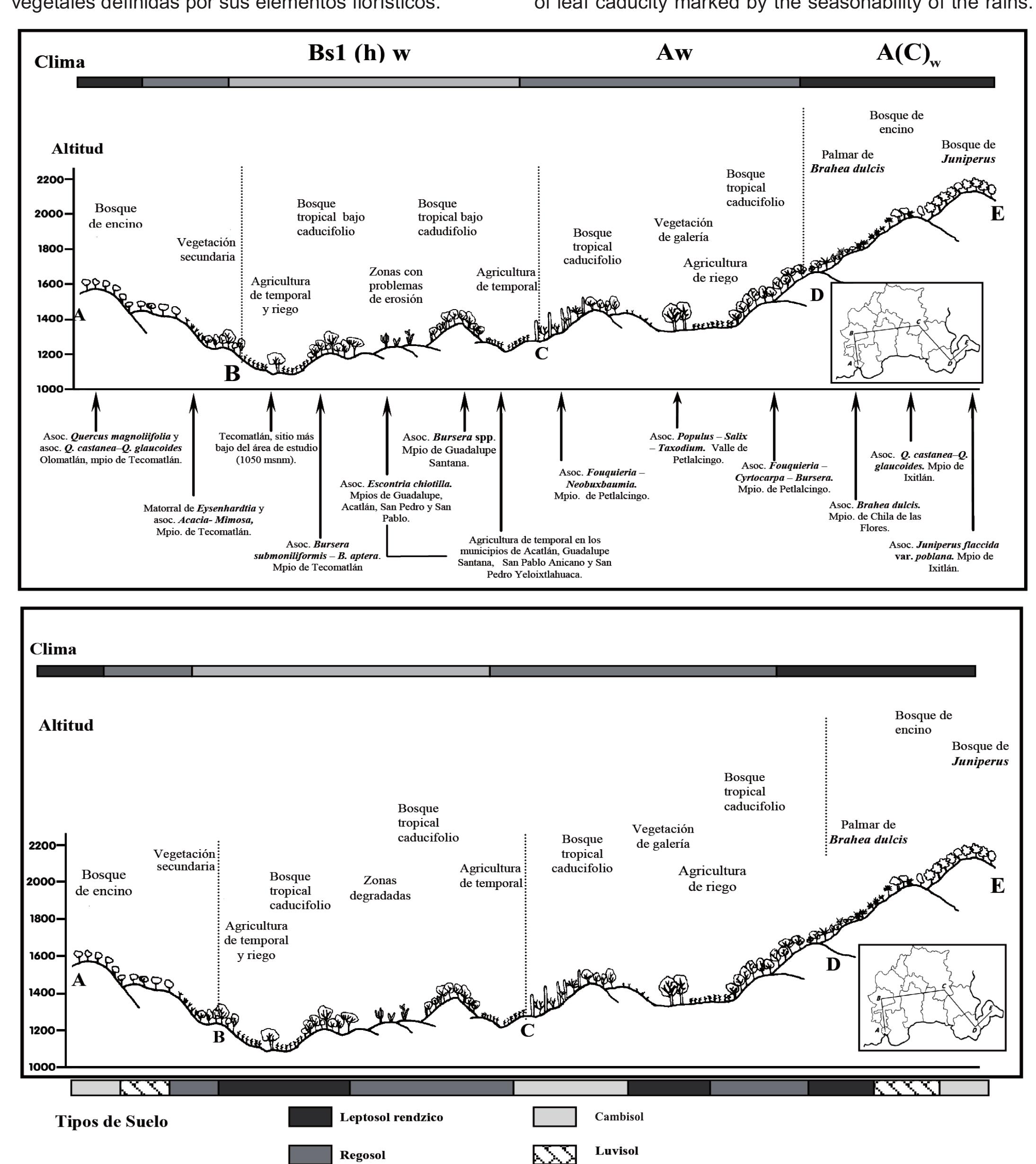 Ura. 1. esquema fisonomico de transecto del extremo