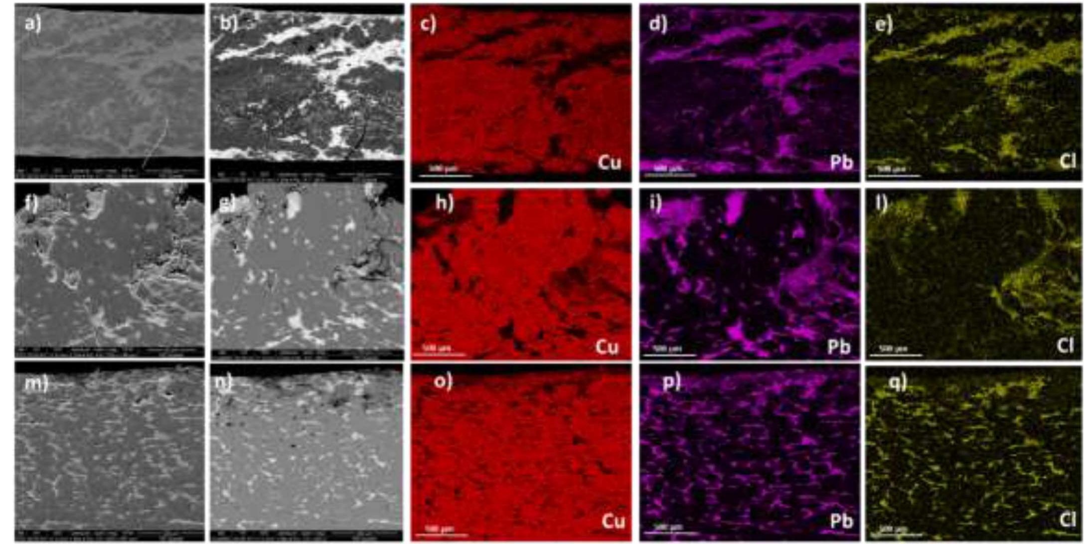 Se and bse images showing coin a,b) 550584 f,g) 550593 m,n)
