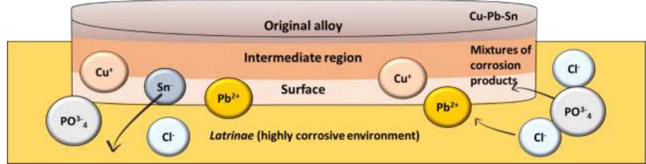 Schematic representation of the coins structures after the
