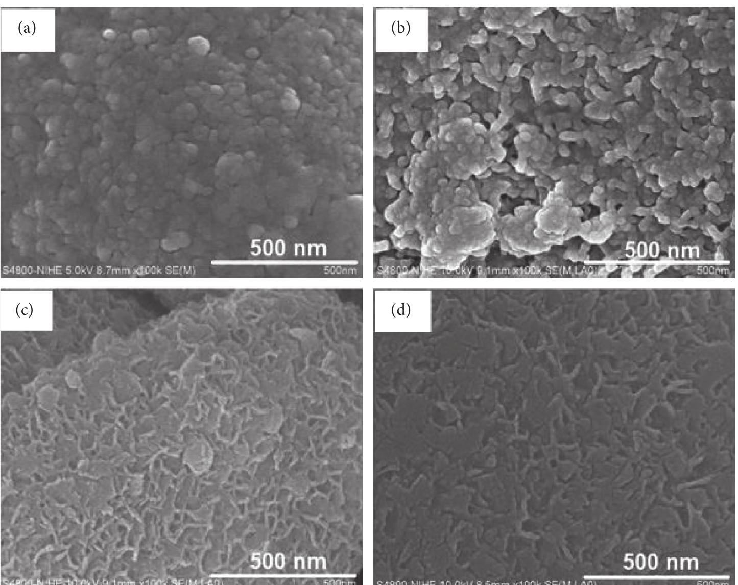 Ficure 3: fesem images of fao (a), fan (b), fambt (c), and