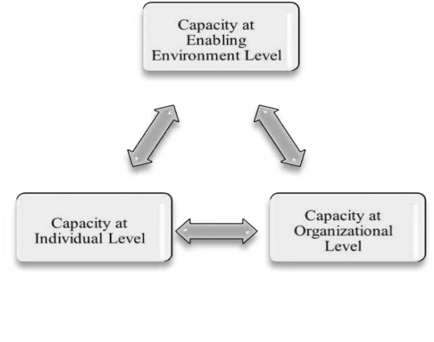 The conceptual framework introduces a ramework for analysing
