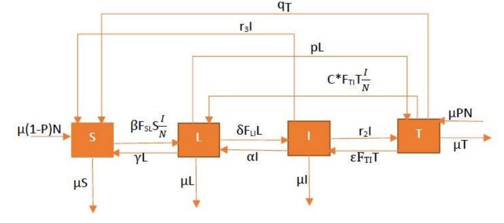The four-compartment model who have ni d d tr d figure