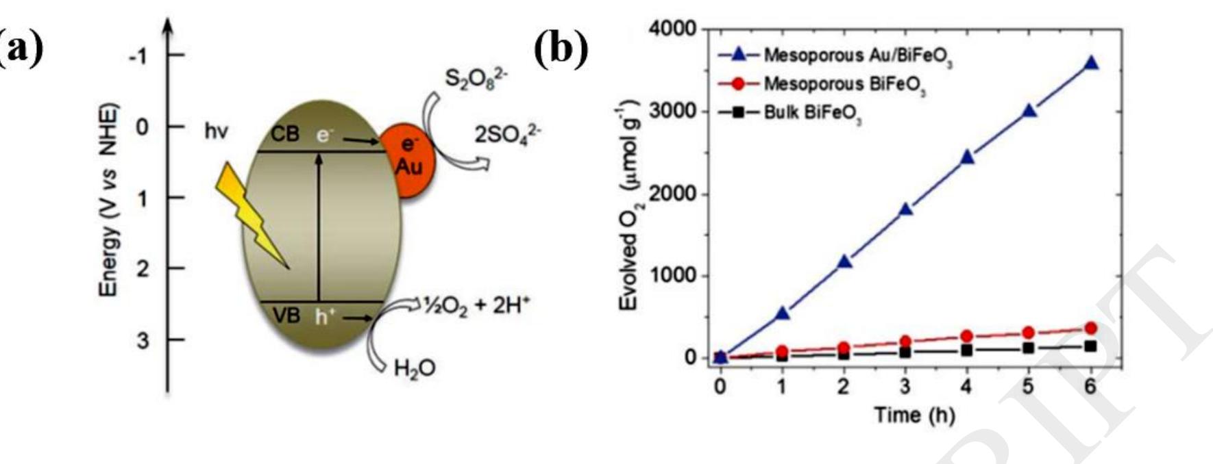 (a) schematic diagram showing the possible pathway for o2