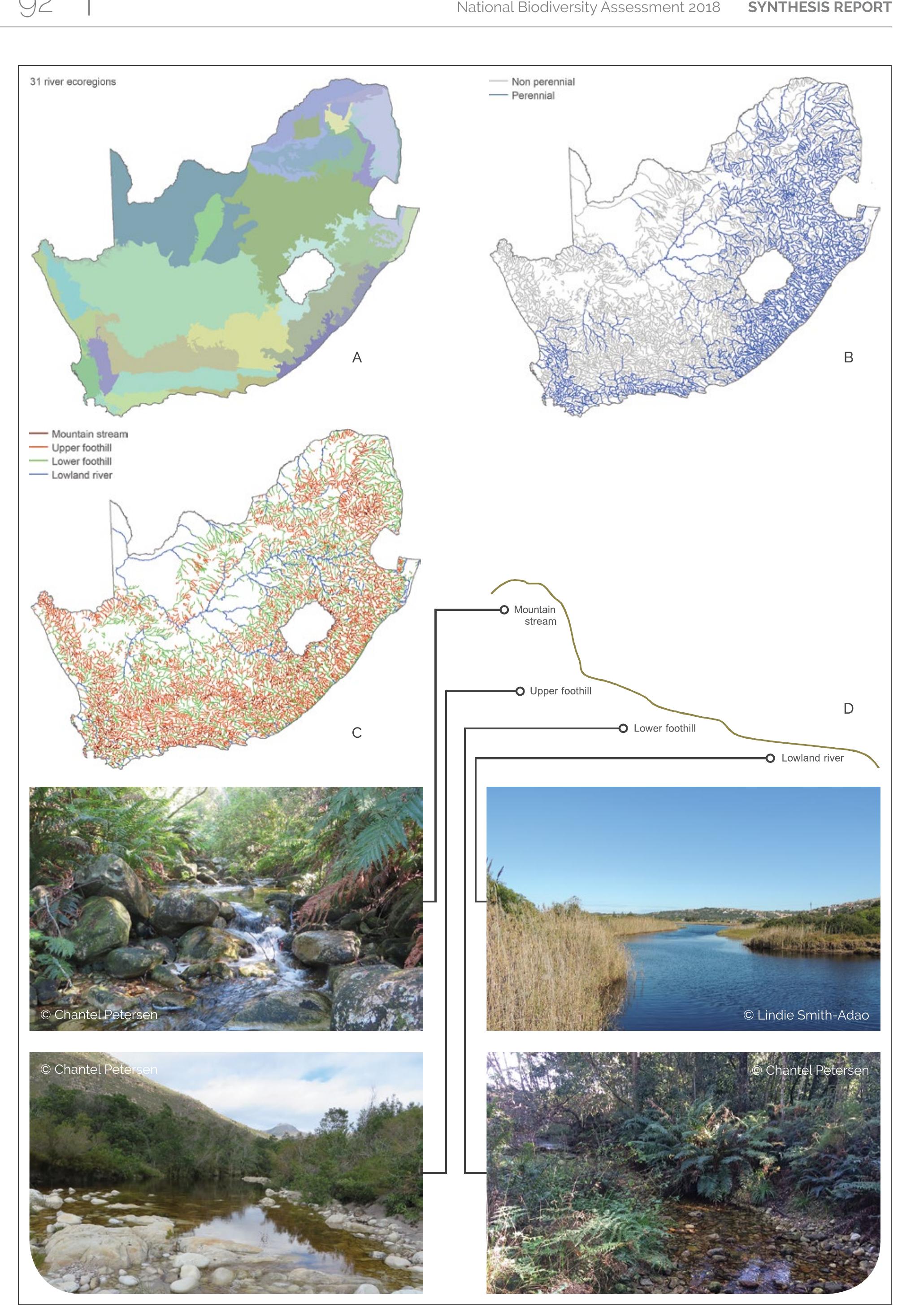 The classification of river ecosystem types includes (a)