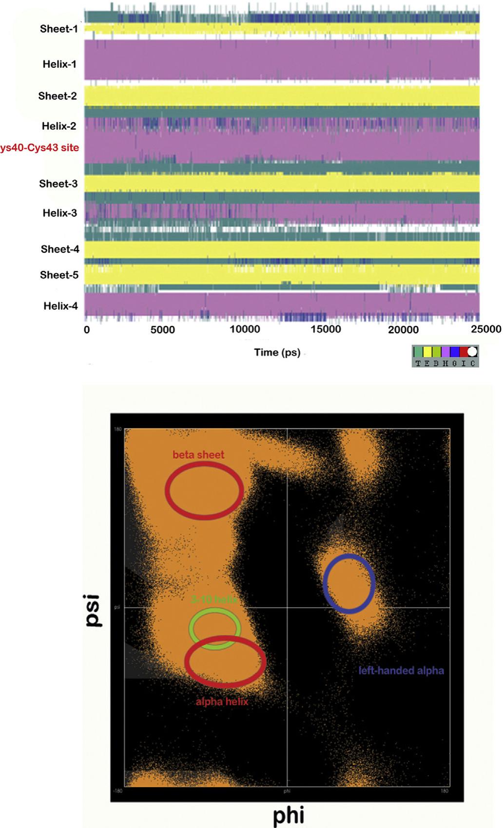 (a) the evolution of secondary structure of caha-trx-h with