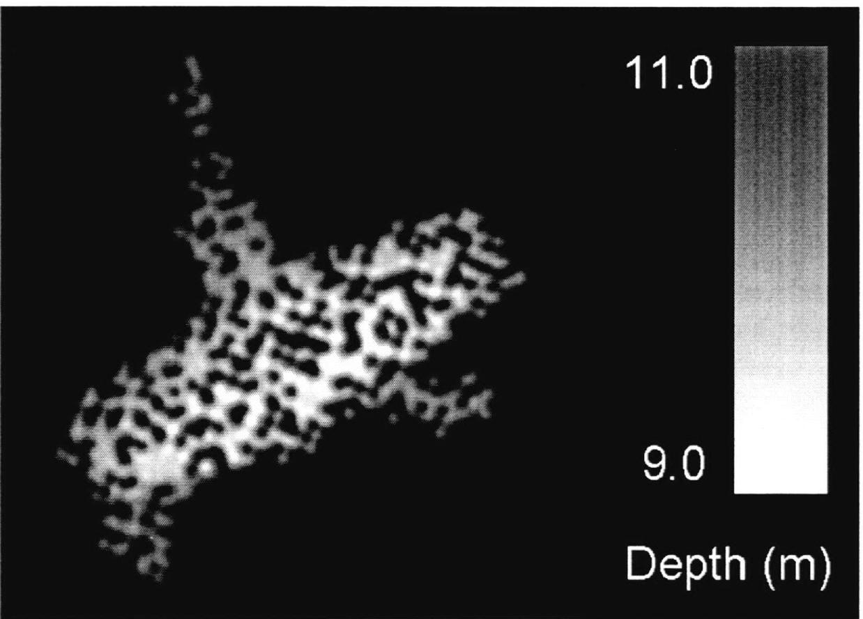 3. synthetic range image. shows the relative sensor