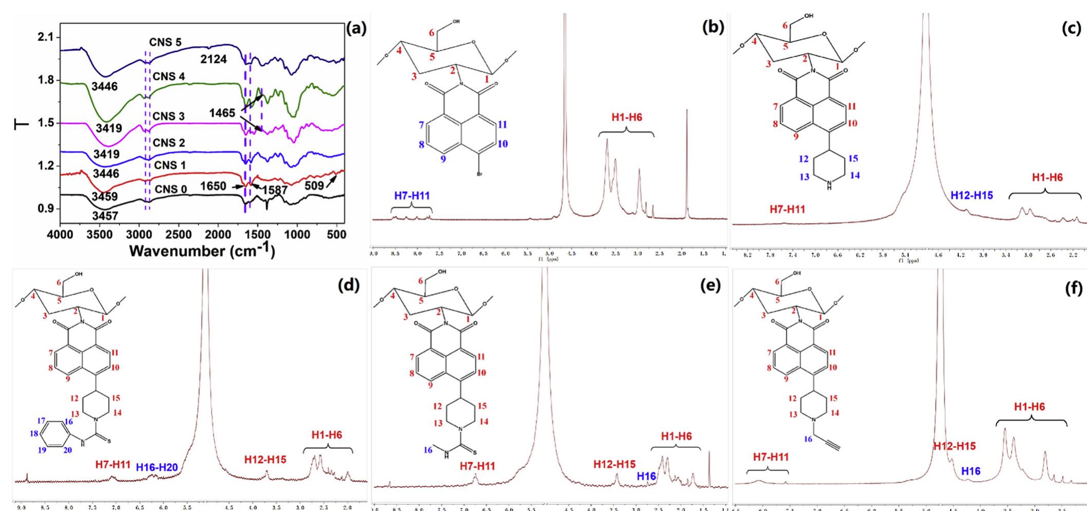 Ftir spectra of (a) chitosan (cns 0), cns 1, cns 2, cns 3,