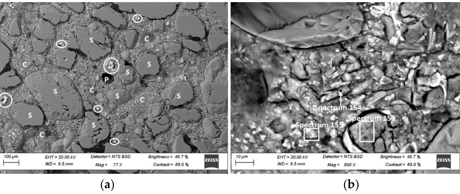 (a) sem image showing the different particles in the mfn