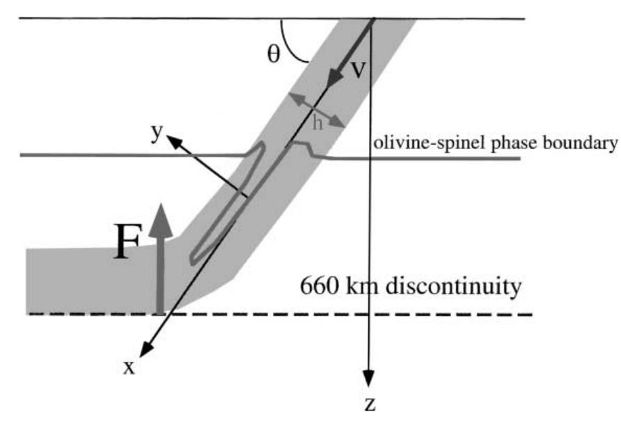 Definition of the coordinate system. a slab encounters a