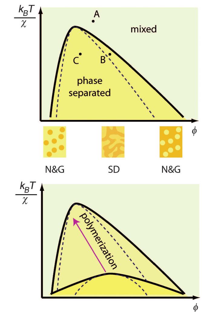 (top) schematic phase diagram of a polymer solution, as a