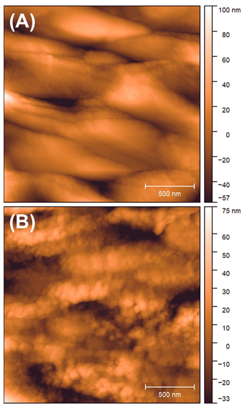 Sisal fiber morphology through afm mapping for pristine (a)