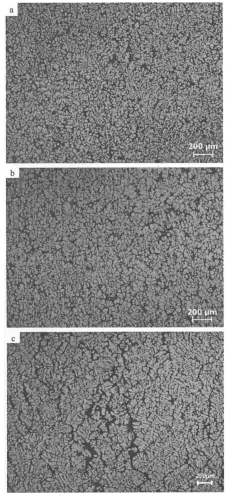 Optical micrographs showing the microstructure of a356 alloy