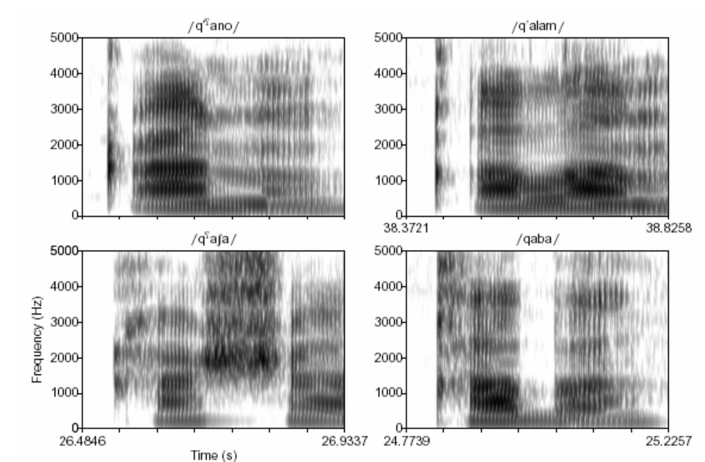 Pharyngealized vs. non-pharyngealized uvular stops (pulmonic
