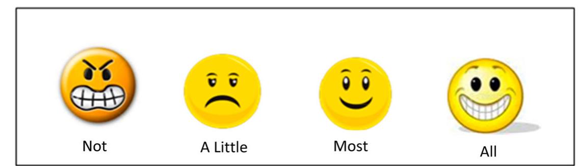 Four-point scale based on emoticons for student reflective