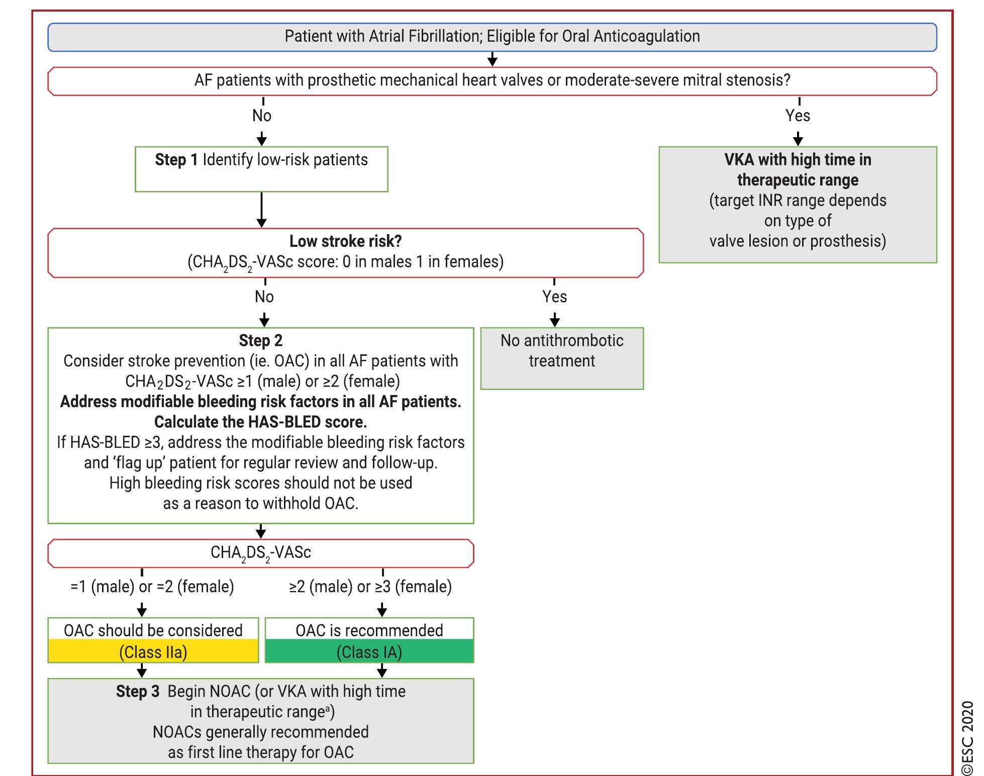 ‘a’ - anticoagulation/avoid stroke: the ‘af 3-step’ pathway.