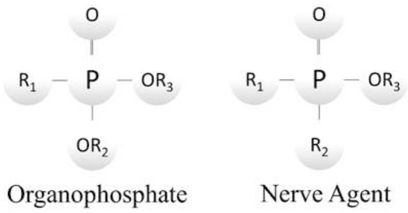 1 typical structure of organophosphorus compounds: the